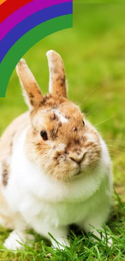 Cute Rabbit with Rainbow - free download