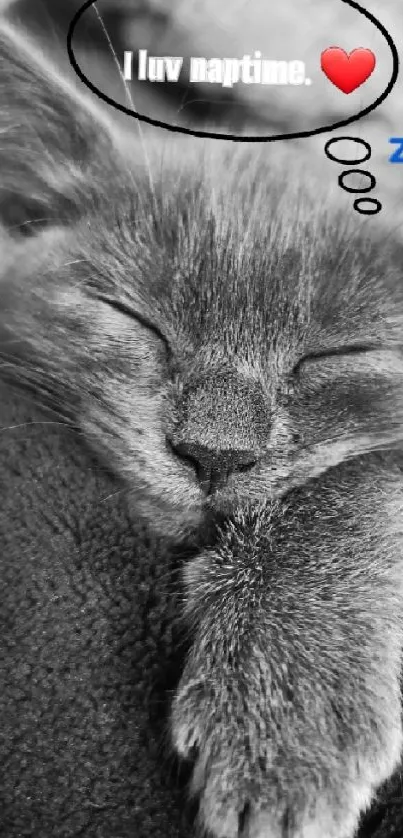 Cute Sleeping Cat Wallpaper - free download