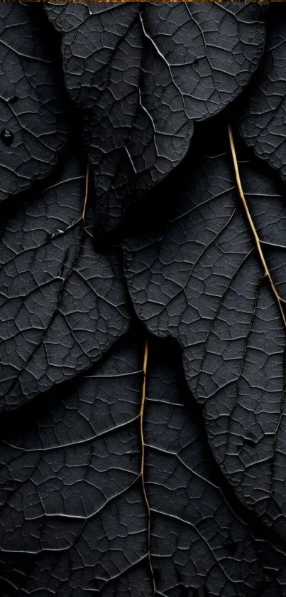 Elegant Dark Leaf Texture Wallpaper - free download
