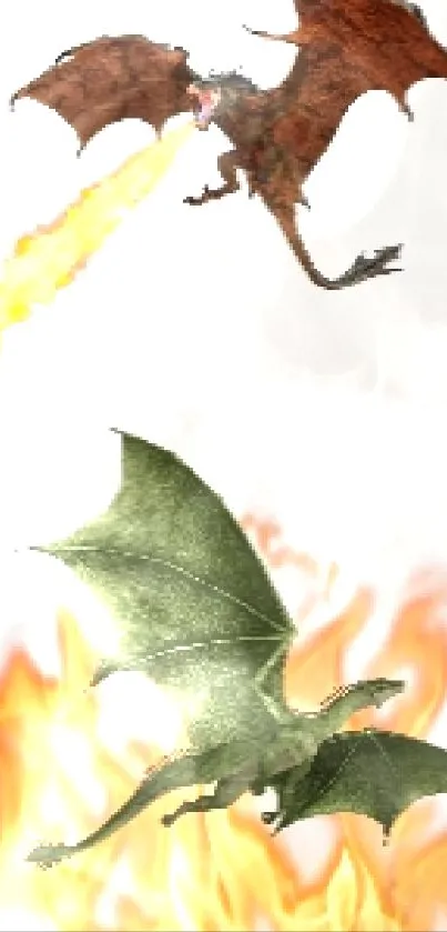 Dragon Battle Over Rooftops - free download