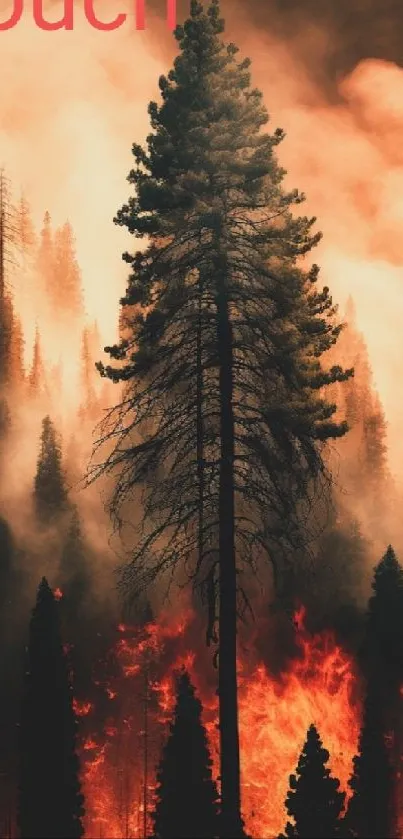 Dramatic Forest Fire Art - free download