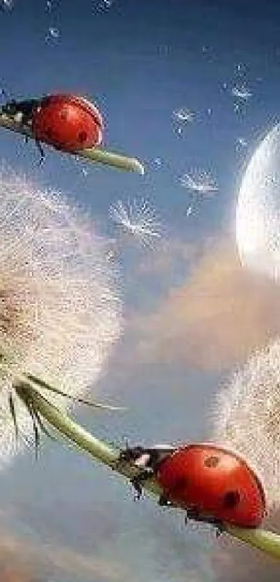 Dreamy Ladybug Dandelion Scene - free download