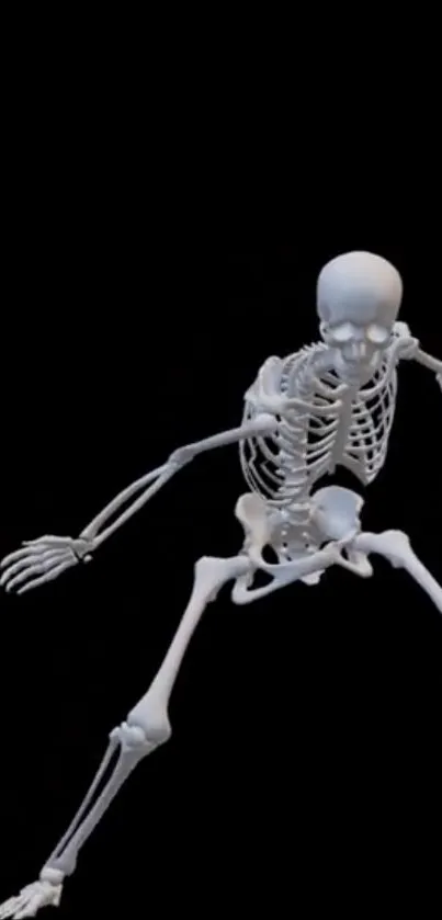 Dynamic Skeleton on Black - free download