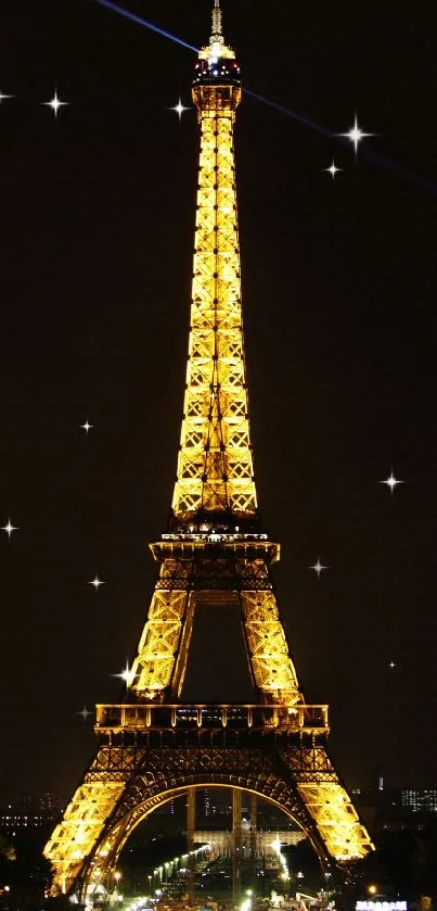 Eiffel Tower Night View - free download