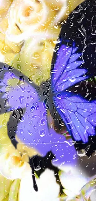 Elegant Butterfly Raindrop Theme - free download