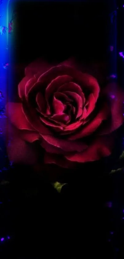 Elegant Dark Rose Wallpaper - free download