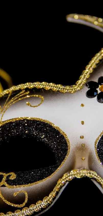 Elegant Masquerade Mask Design - free download