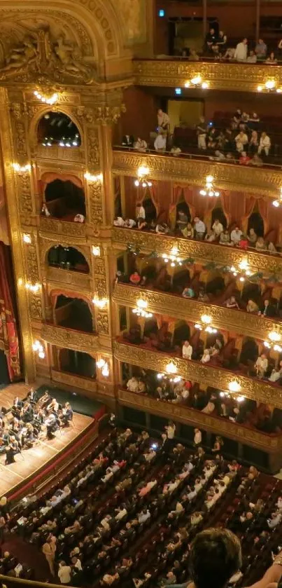 Elegant Opera House Interior View - free download