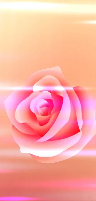 Elegant Pink Rose Glow Wallpaper - free download