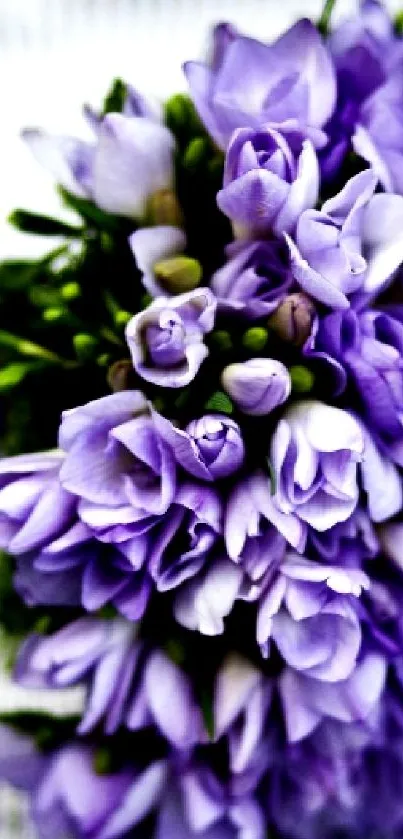 Elegant Purple Flower Bouquet - free download