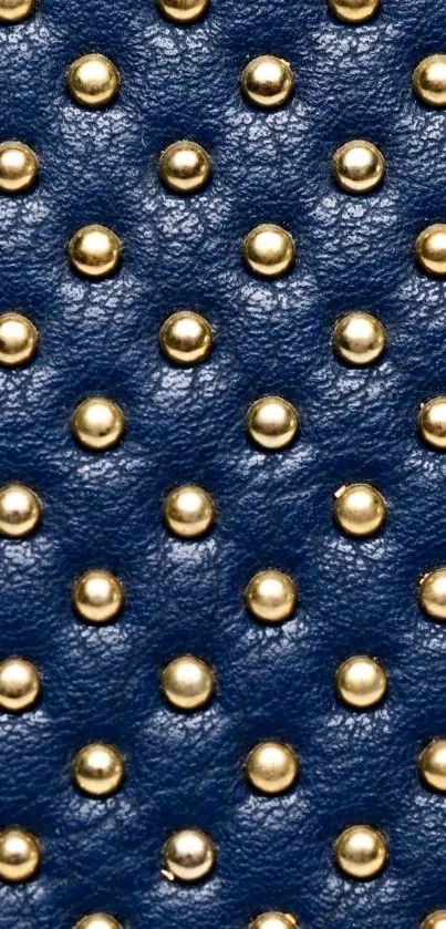 Elegant Studded Leather Wallpaper - free download