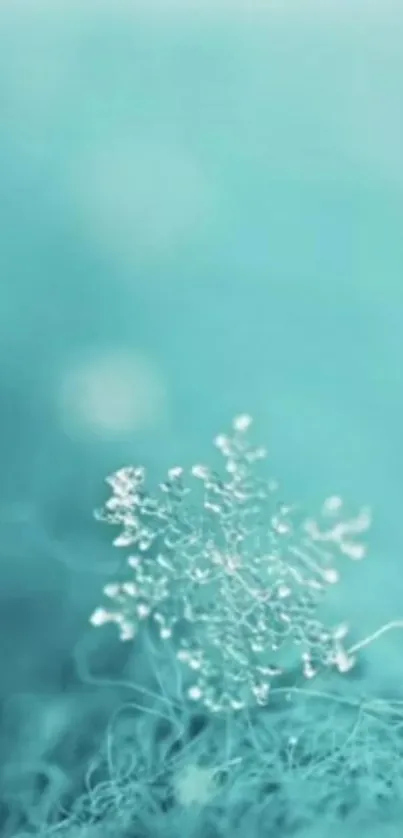 Elegant Turquoise Snowflake Art - free download
