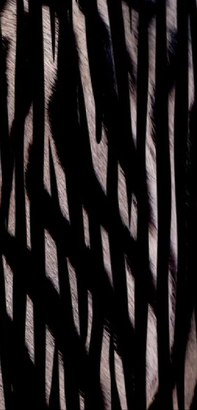 Elegant Zebra Stripes Wallpaper - free download Elegant Zebra Stripes Wallpaper - free download