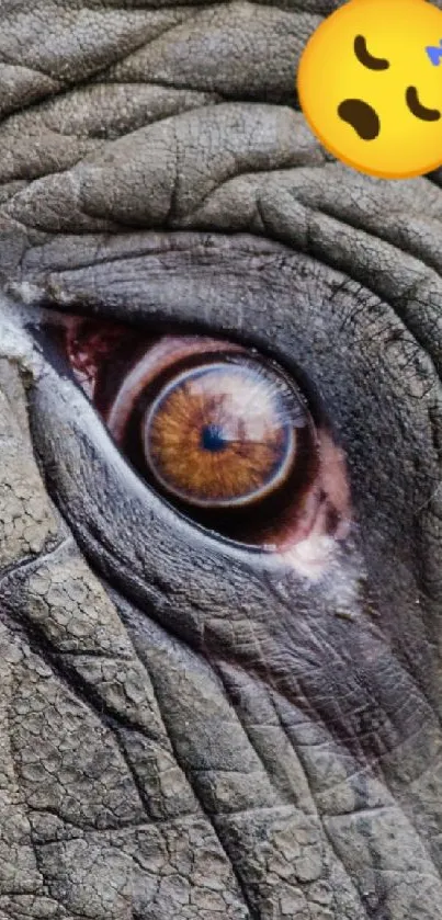 Elephant Eye Art Wallpaper - free download