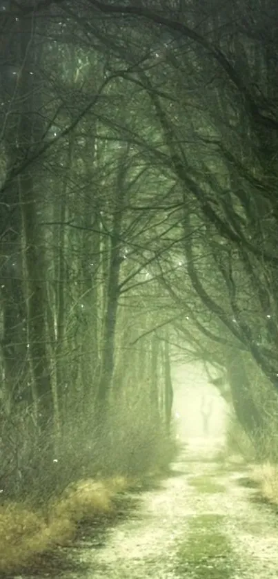 Enchanted Forest Path Wallpaper - free download