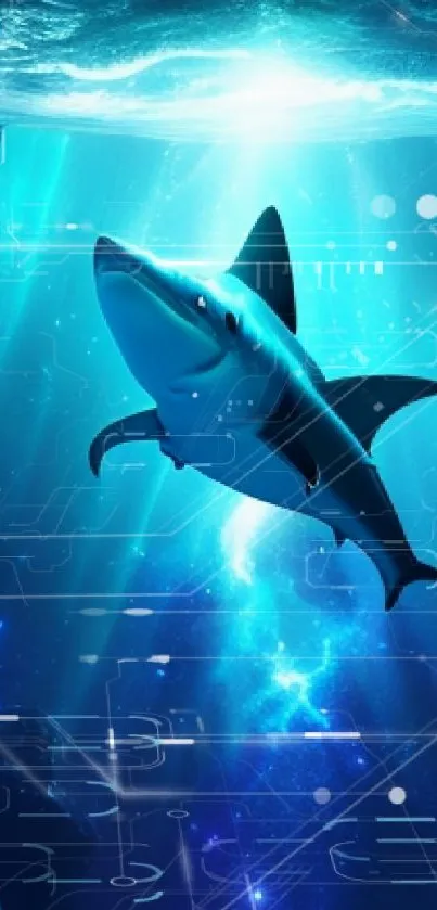 Epic Shark Ocean Adventure - free download