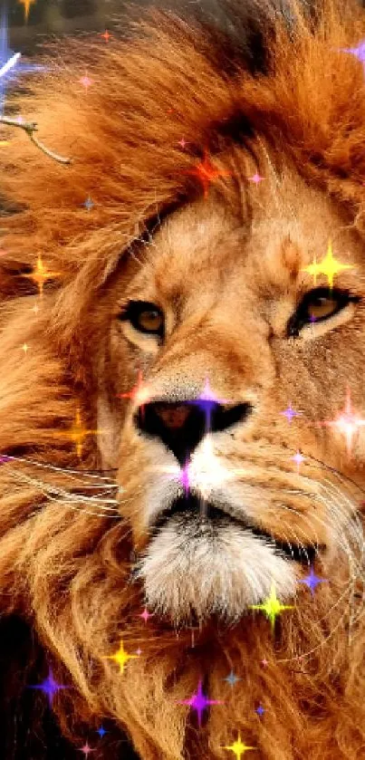Lion Live Wallpaper - free download