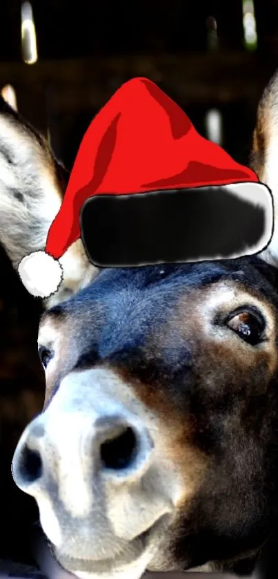 Festive Donkey Christmas Wallpaper - free download