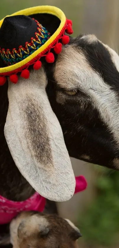 Festive Goat with Hat - free download