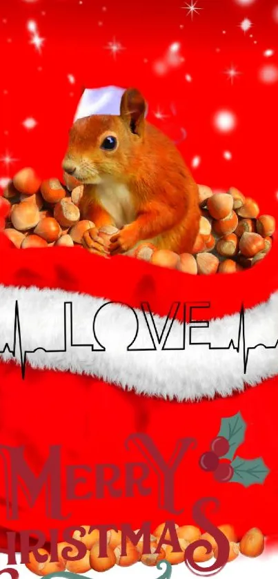 Festive Squirrel Christmas Wallpaper - free download