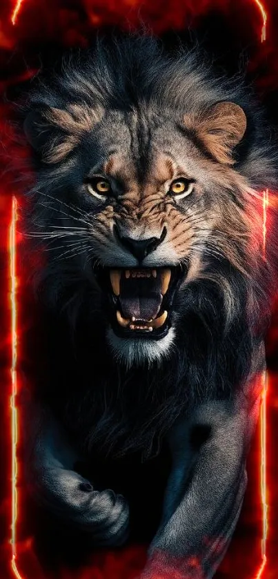 Fierce Lion Fiery Wallpaper - free download