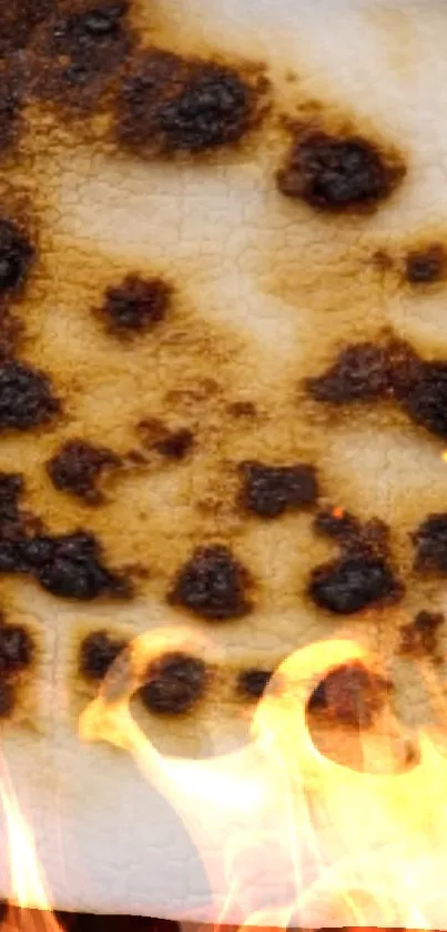 Fiery Abstract Burnt Texture - free download