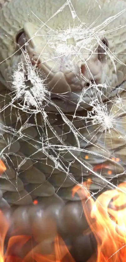 Fiery Snake with Broken Glass - free download