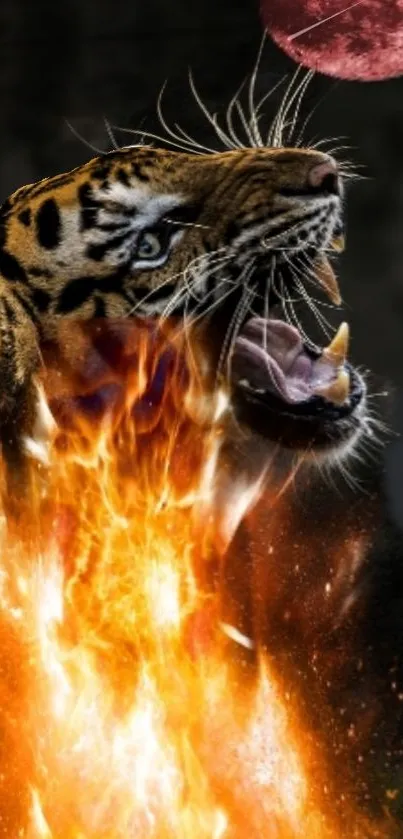 Fiery Tiger and Moon Wallpaper - free download