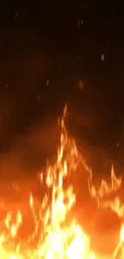 Fire Flame Bonfire Live Wallpaper - free download