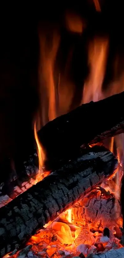 Fire Flame Charcoal Live Wallpaper - free download