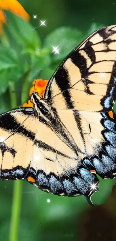 butterfly Live Wallpaper - free download