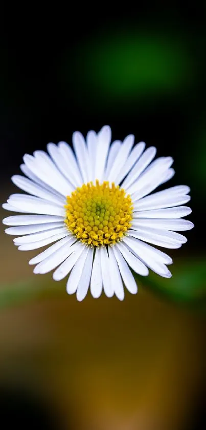 Deepak Live Wallpaper - free download