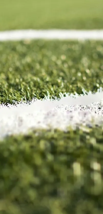 Football Field Close-Up Shot - free download