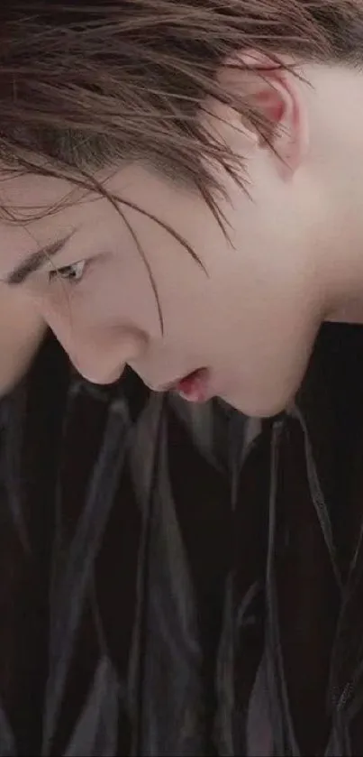 Forehead Nose Cheek Live Wallpaper - free download