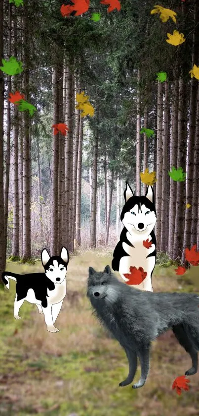 Forest Wolves and Falling Leaves - free download