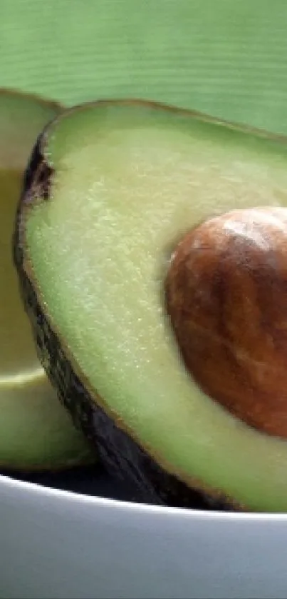Fresh Avocado Wallpaper - free download