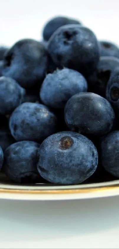Fresh Blueberries on Plate - free download