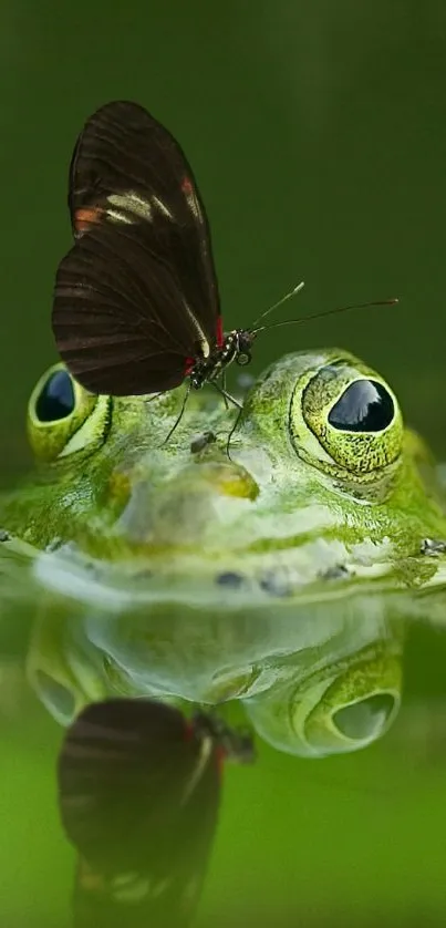 Frog and Butterfly Serenity - free download
