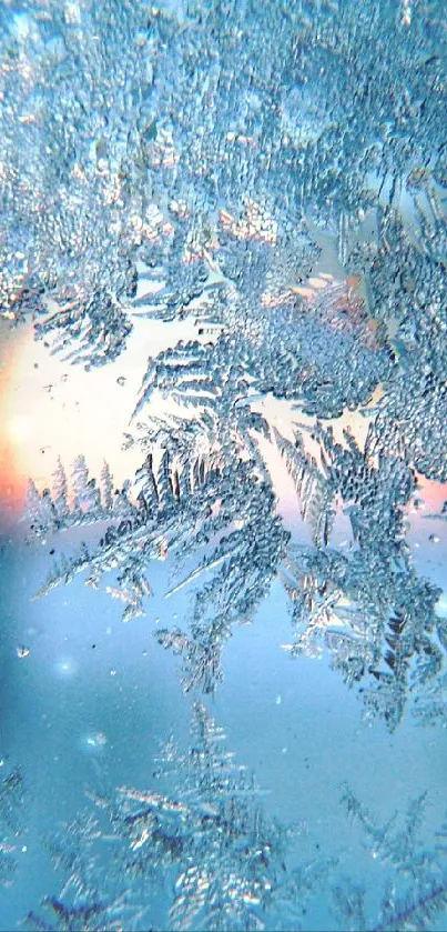 Frosty Blue Winter Wallpaper - free download