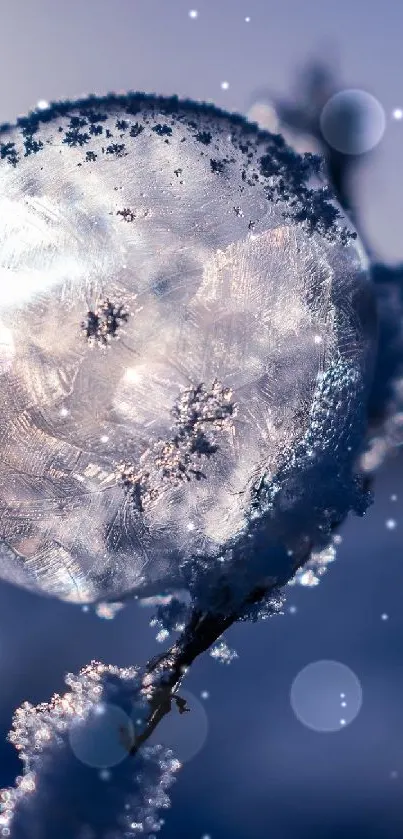 Frozen Bubble in Winter Light - free download