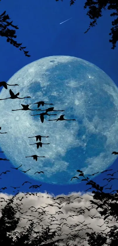 Full Moon and Birds Wallpaper - free download