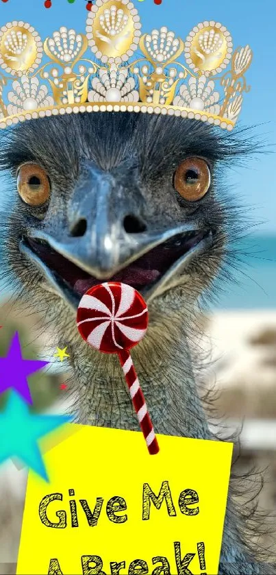 Funny Emu Beach Wallpaper - free download