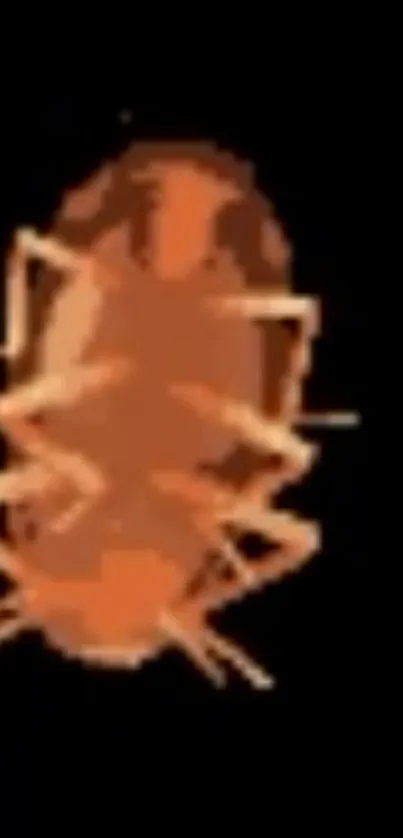 Geometric Brown Insect Design - free download