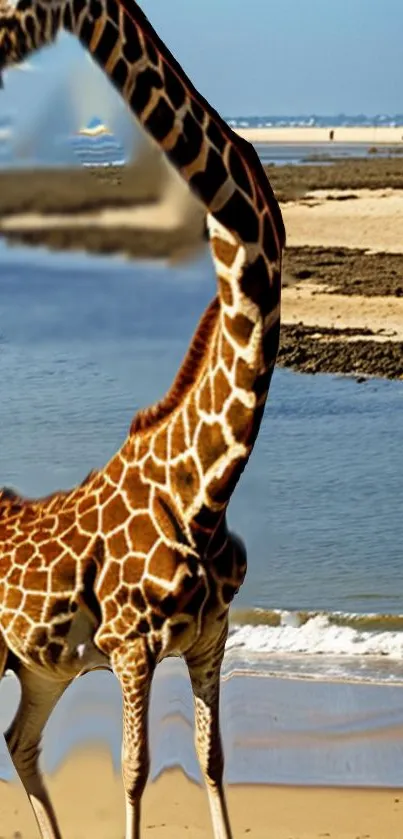 Giraffe Beach Fantasy - free download