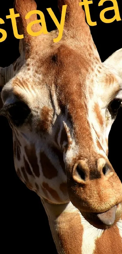 Giraffe Inspiration Wallpaper - free download
