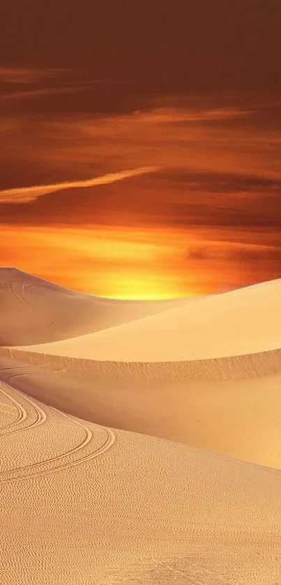 Golden Desert Sunset Wallpaper - free download
