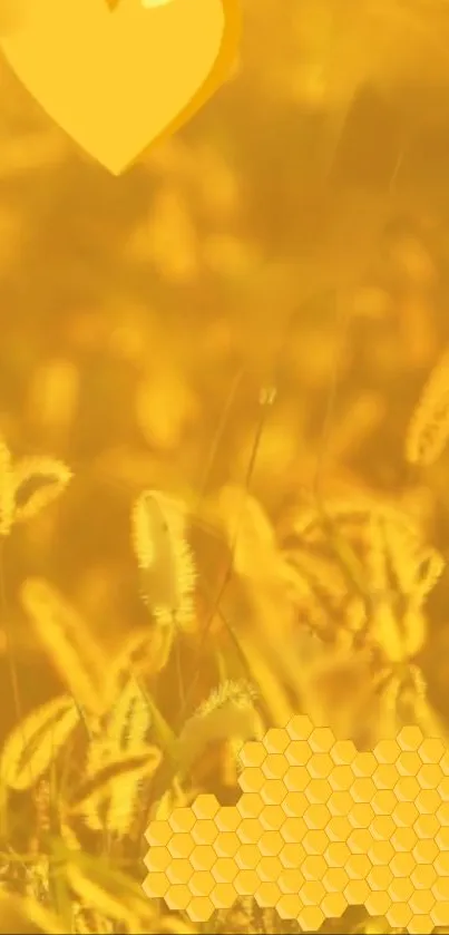 Golden Field Mobile Wallpaper - free download