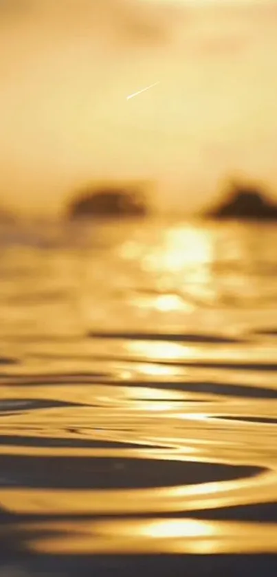 Golden Sunset Ocean View - free download