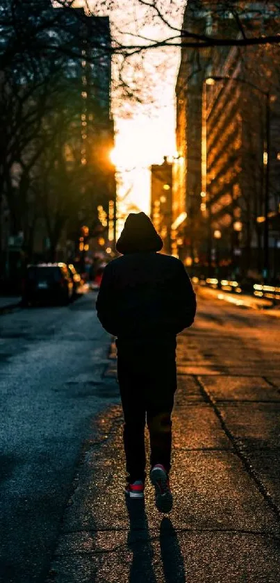 Golden Urban Sunset Walk - free download