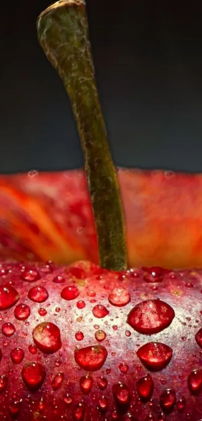 HD Red Apple Close-up Wallpaper - free download